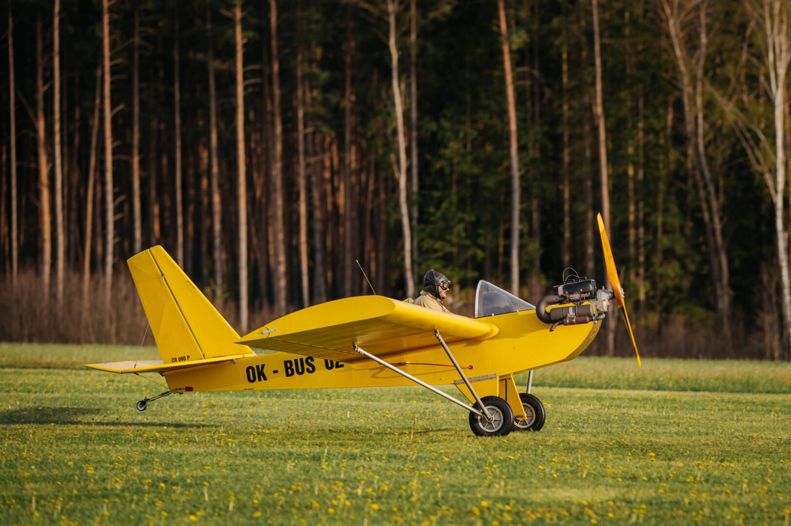 TEAM Minimax - AEROHANGAR